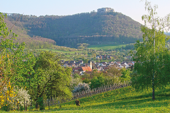 Burg Hohen Neuffen - Ausflüge mit dem VVS in der Region Stuttgart: VVS