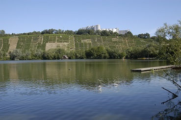 Weinwanderweg: Vom Max-Eyth-See nach Mönchfeld - Ausflüge mit dem VVS ...